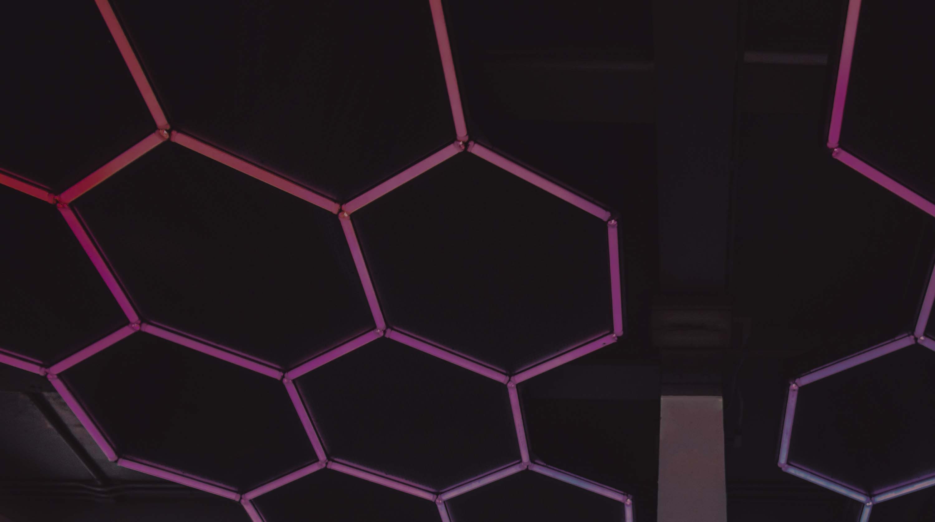 Custom Application Development Services - NeoSOFT