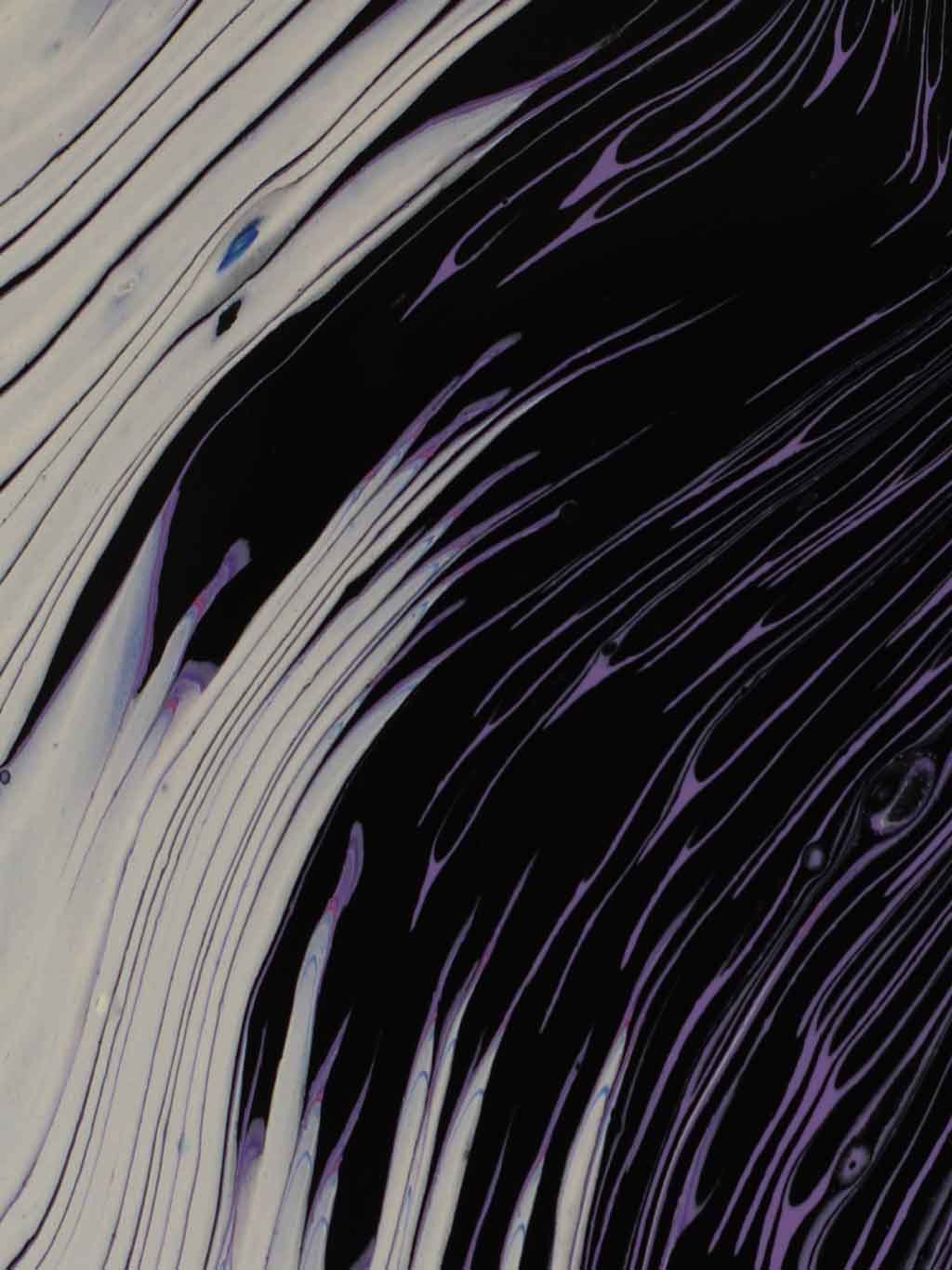 Custom Application Development Services - NeoSOFT