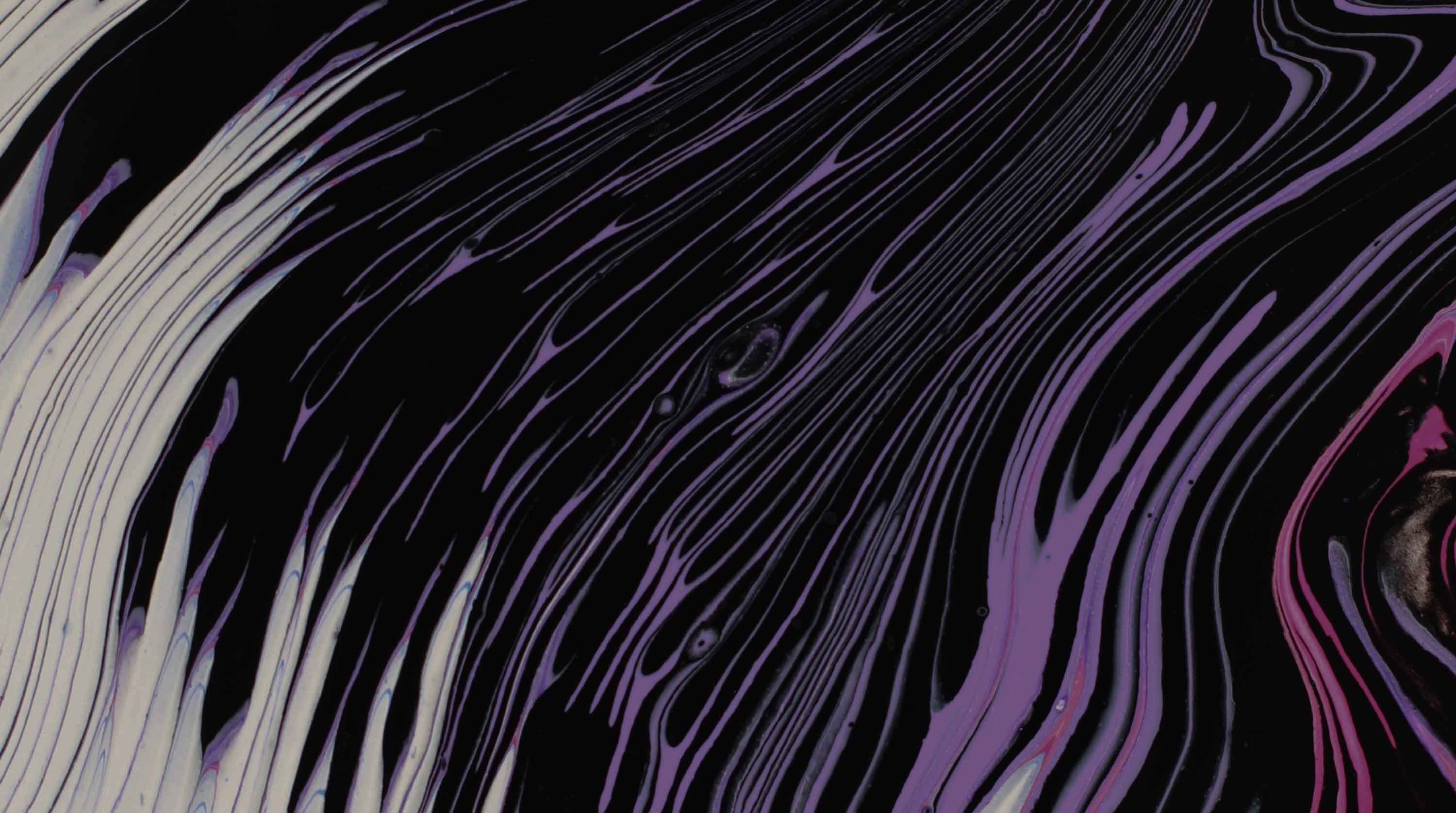 Custom Application Development Services - NeoSOFT